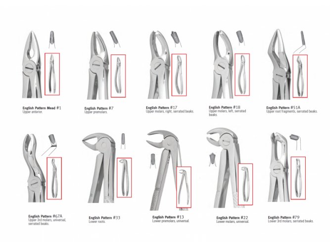 PAKISTAN EXTRACTION FORCEPS KIT (10PCS) - Doctor Order - Market Place ...